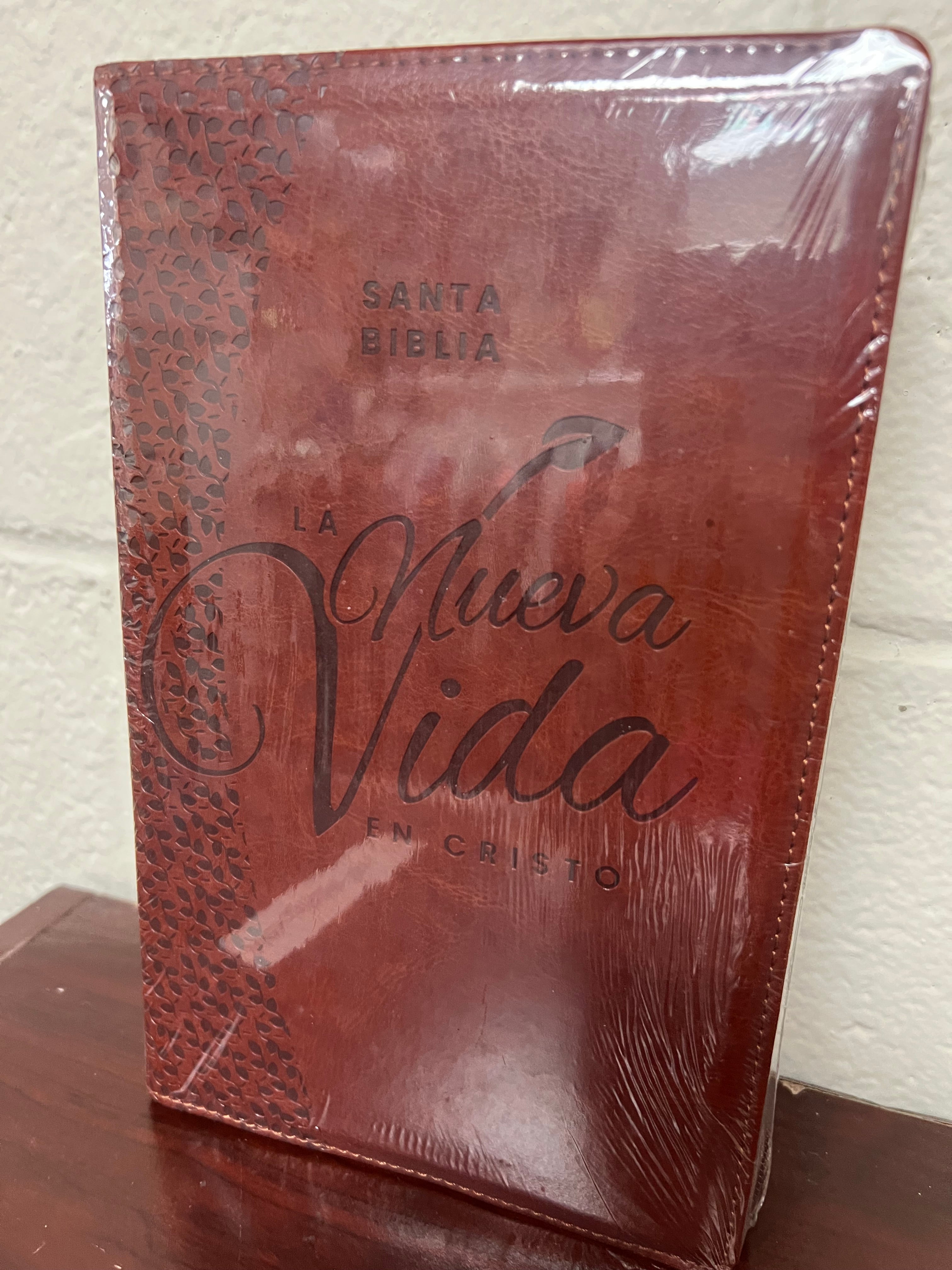 La Nueva Vida en Cristo Santa biblia version NVE – Hope & Faith ...